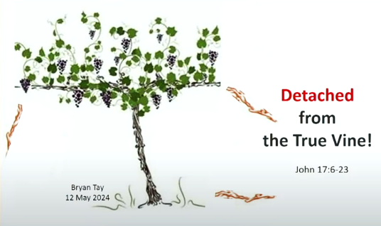 Building a Stronger Church: Examining Our Connection to the Vine ...