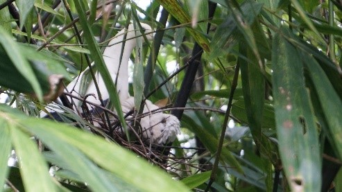 Visit to Bird Paradise - Jurong Christian Church