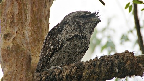 Visit to Bird Paradise - Jurong Christian Church