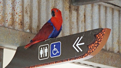 Visit to Bird Paradise - Jurong Christian Church